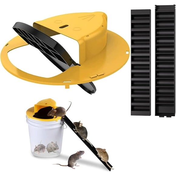 Rat Control in Pest Control - Walmart.com