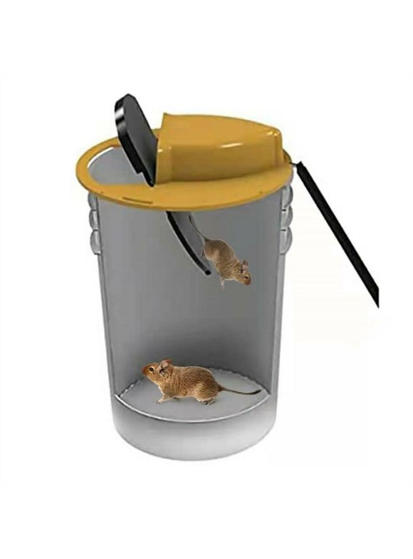 Mouse in Pest Control - Walmart.com