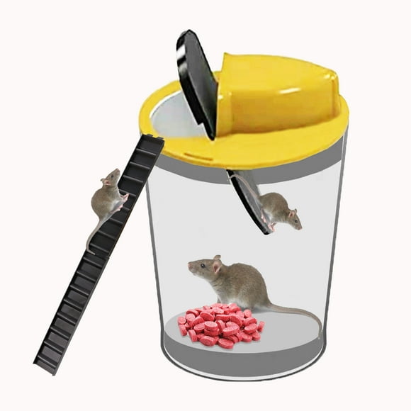 Best Mouse Trap