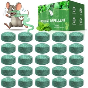 Rat Control in Pest Control - Walmart.com