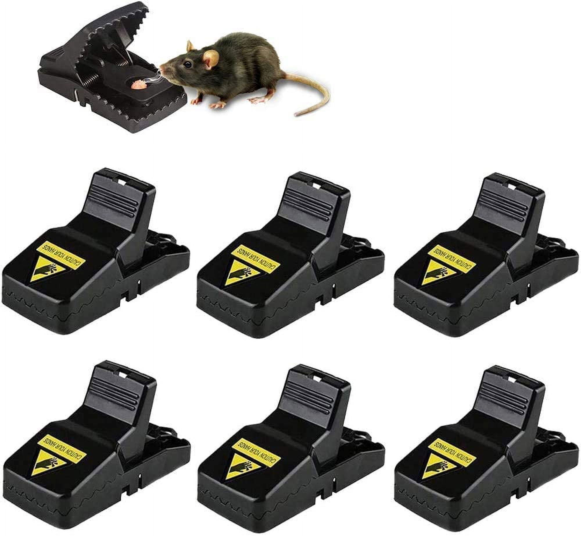 Mouse Trap, Reusable Best Small Mouse & Squirrel Traps That Work, Mice ...