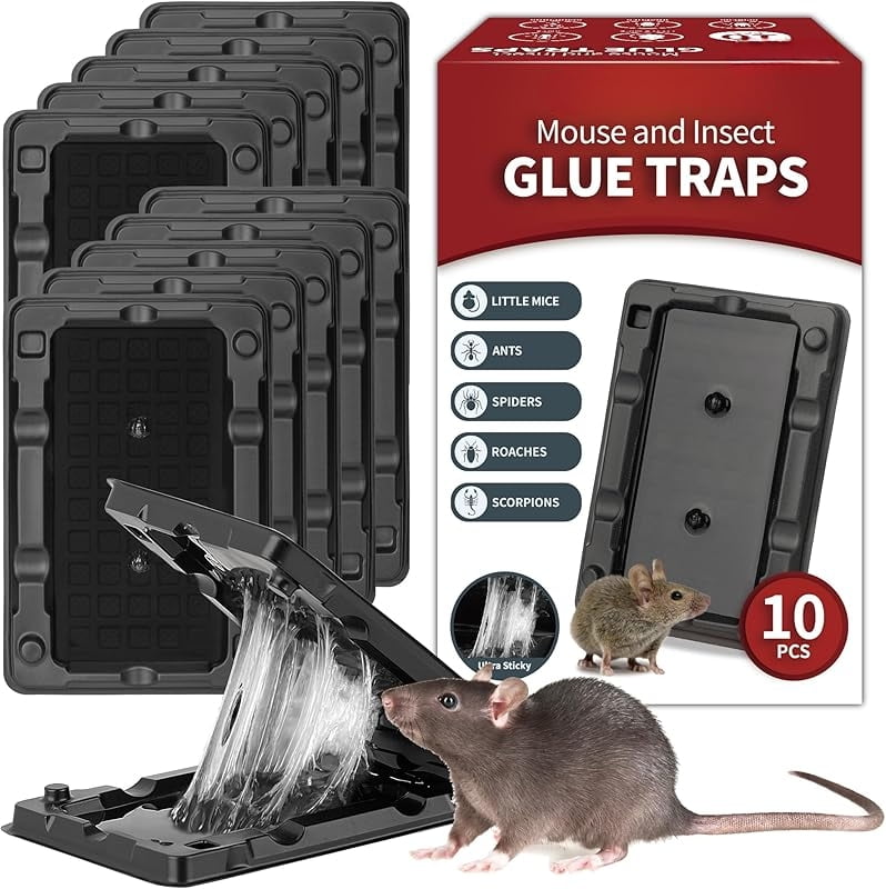 Mouse Traps 14 Pack, Heavy Duty Mouse Traps Indoor for Home, Rat Trap ...