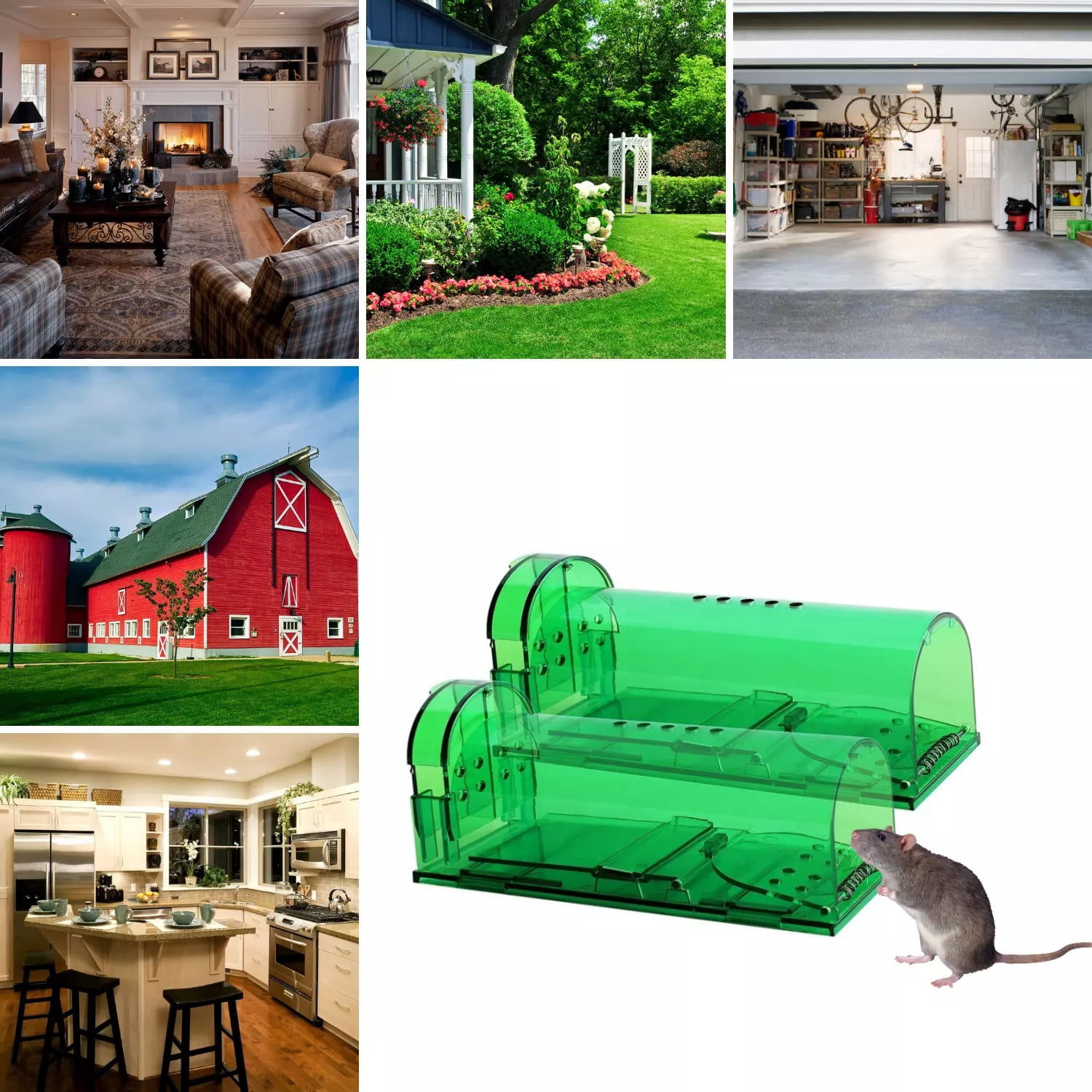 Mouse Traps,Humane Catch and Release Mouse Traps Pack of 2,for House ...