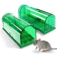 Humane Mouse Traps, 12 inches Enlarged No Kill Rat Live Traps for ...
