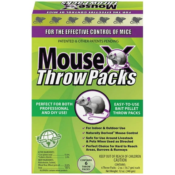 5 Gallon Bucket Mouse Trap
