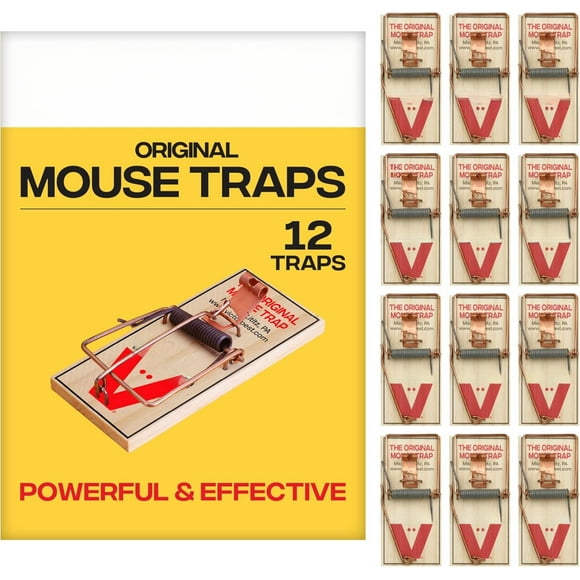 Best Mouse Trap