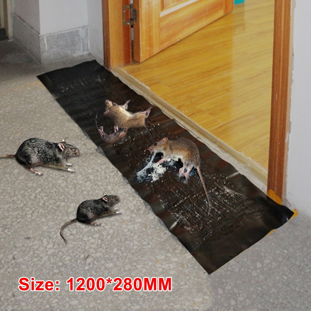 Mousetrap,- Miceand And - Size Pest And Mice Pest 1.2m Pest Super Mice ...
