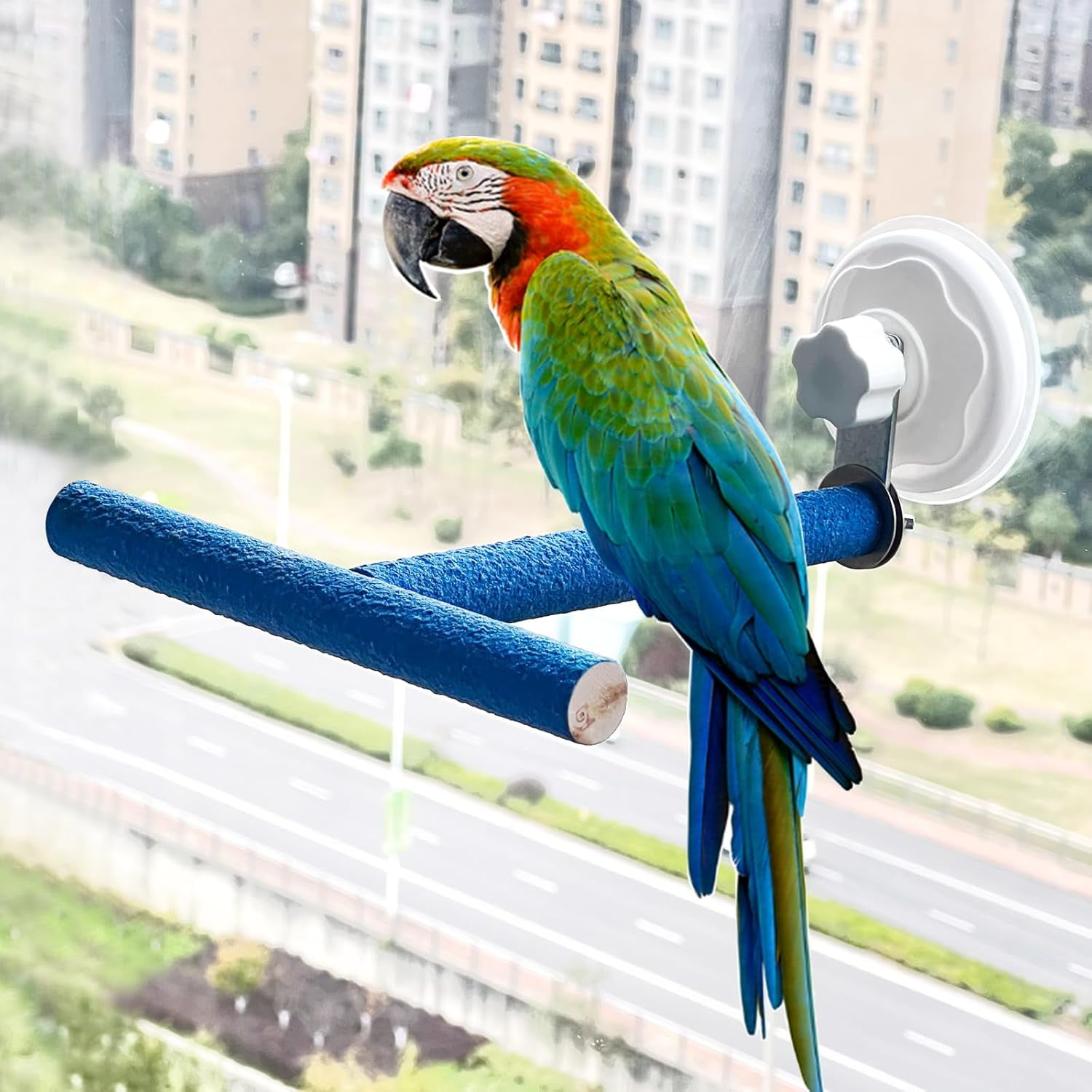 Movable Bird Perch Stand with Suction Cup for Window/Mirror/Car/Shower ...