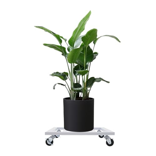 Movable Plant Caddy, 14/16 Inch Plant Stand Metal Square Plant Dolly ...