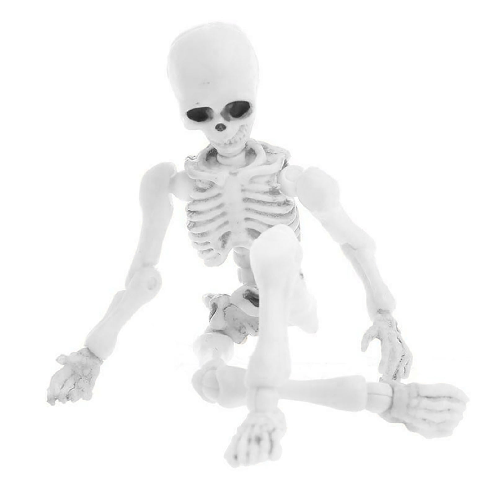 WXLCISI Movable Skeleton Toy - Mini Human Anatomy Model, Spooky Science ...