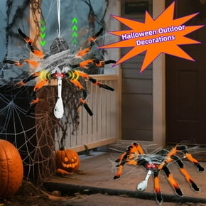 Motion Activated Spider