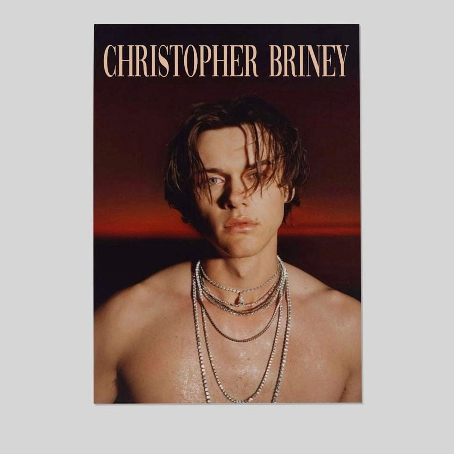 Movie Poster - Christopher Briney - The Summer I Turned Pretty Poster ...