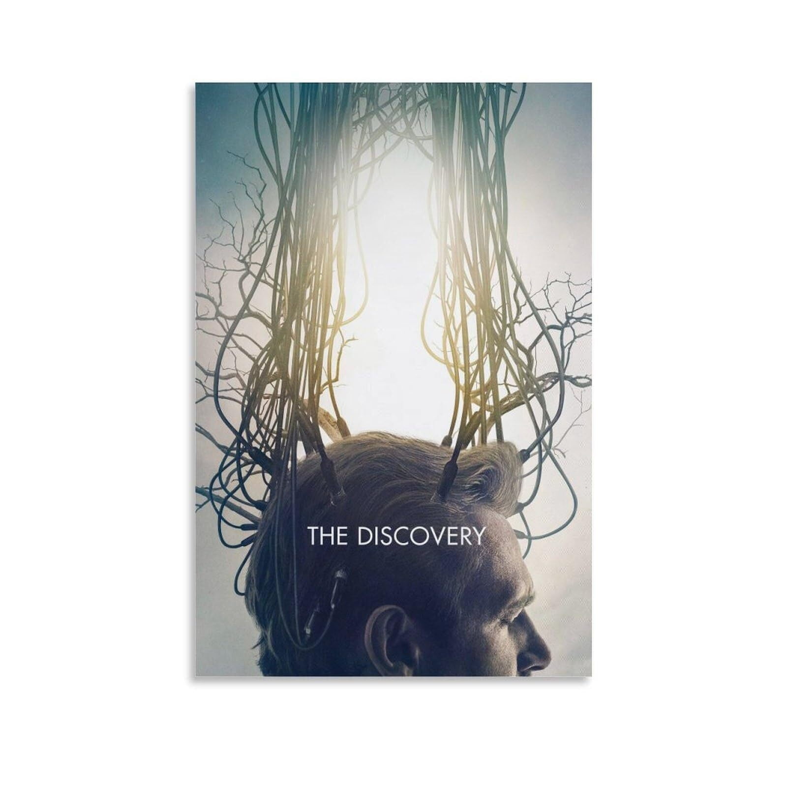 Movie Posters THE DISCOVERY Poster Canvas Art Poster And Wall Art ...