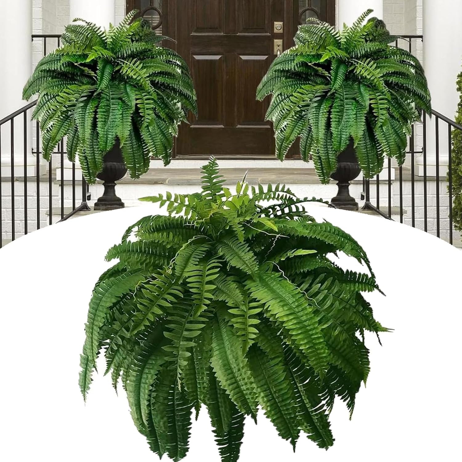 Mowaven Ferns, Monnromall Ferns, Fake Ferns, Growhabity Ferns, Uv ...