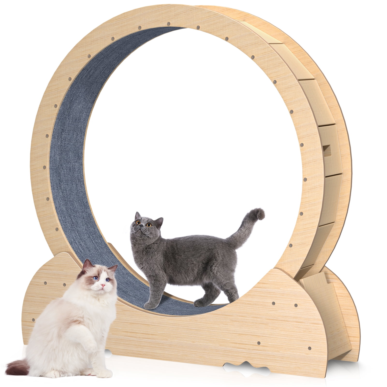 Moxufan Cat Wheel,46 inch Large Cat Treadmill,Cat Exercise Wheel with ...