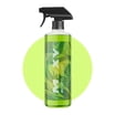 P21S Polishing Soap, Water-Based Polish, Removes Tarnish from Chrome ...