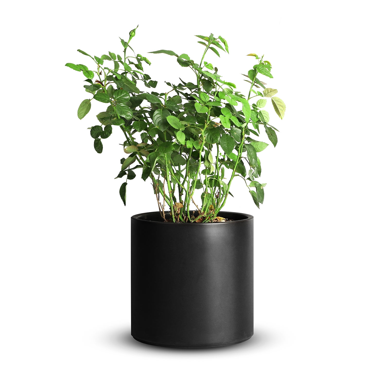 Mozing Ceramic Plant Pots Indoor - 8 x 8 inch Modern Flower Pot with ...