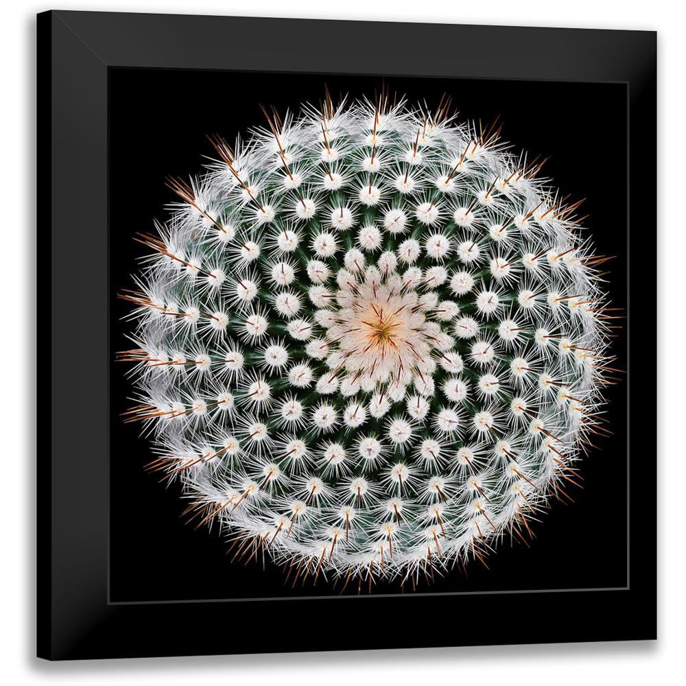 Mozqueda, Victor 12x12 Black Modern Framed Museum Art Print Titled ...
