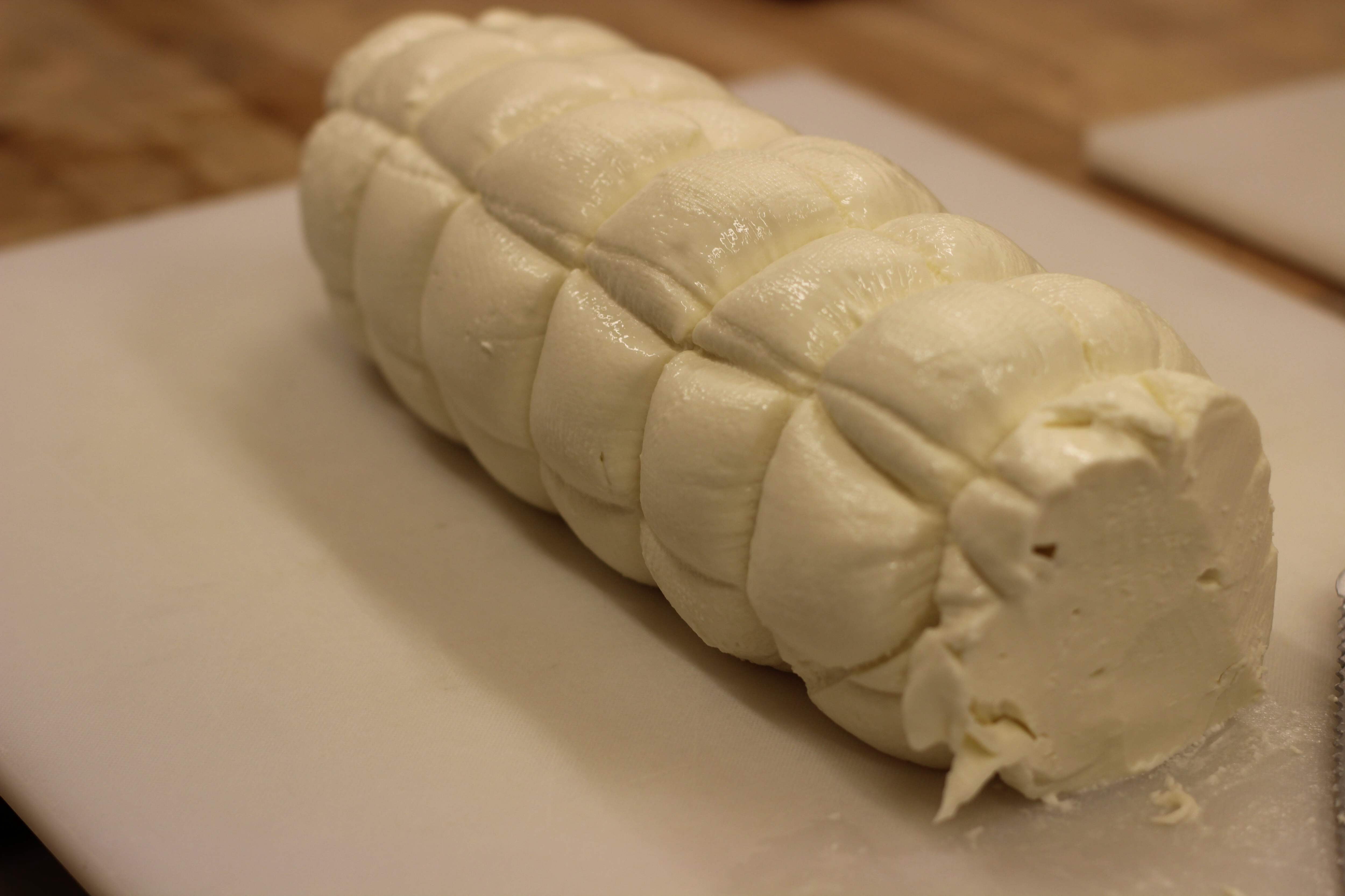 Mozzarella Cheese Log Glossy Poster Picture Photo Print Banner ...