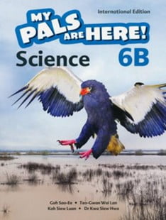 Mph Science International Edition Textbook 6B - Walmart.com