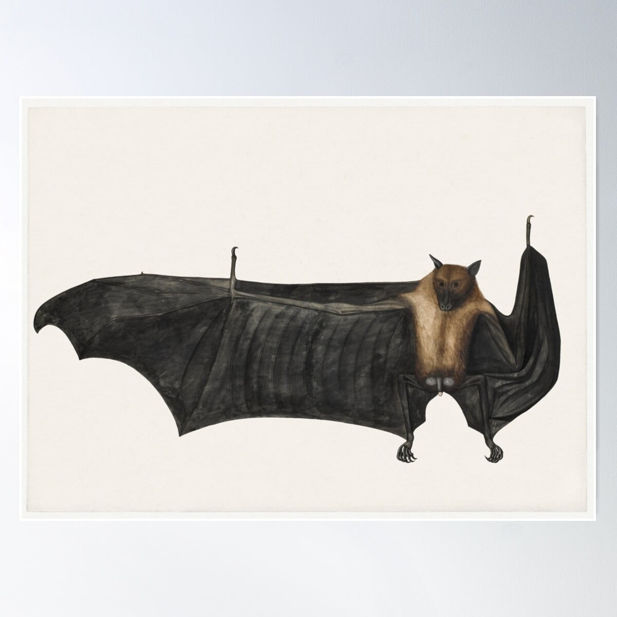 Mr Bat Poster Wall Art, Modern Wall Decor For Living Room Bedroom, 8x12 ...