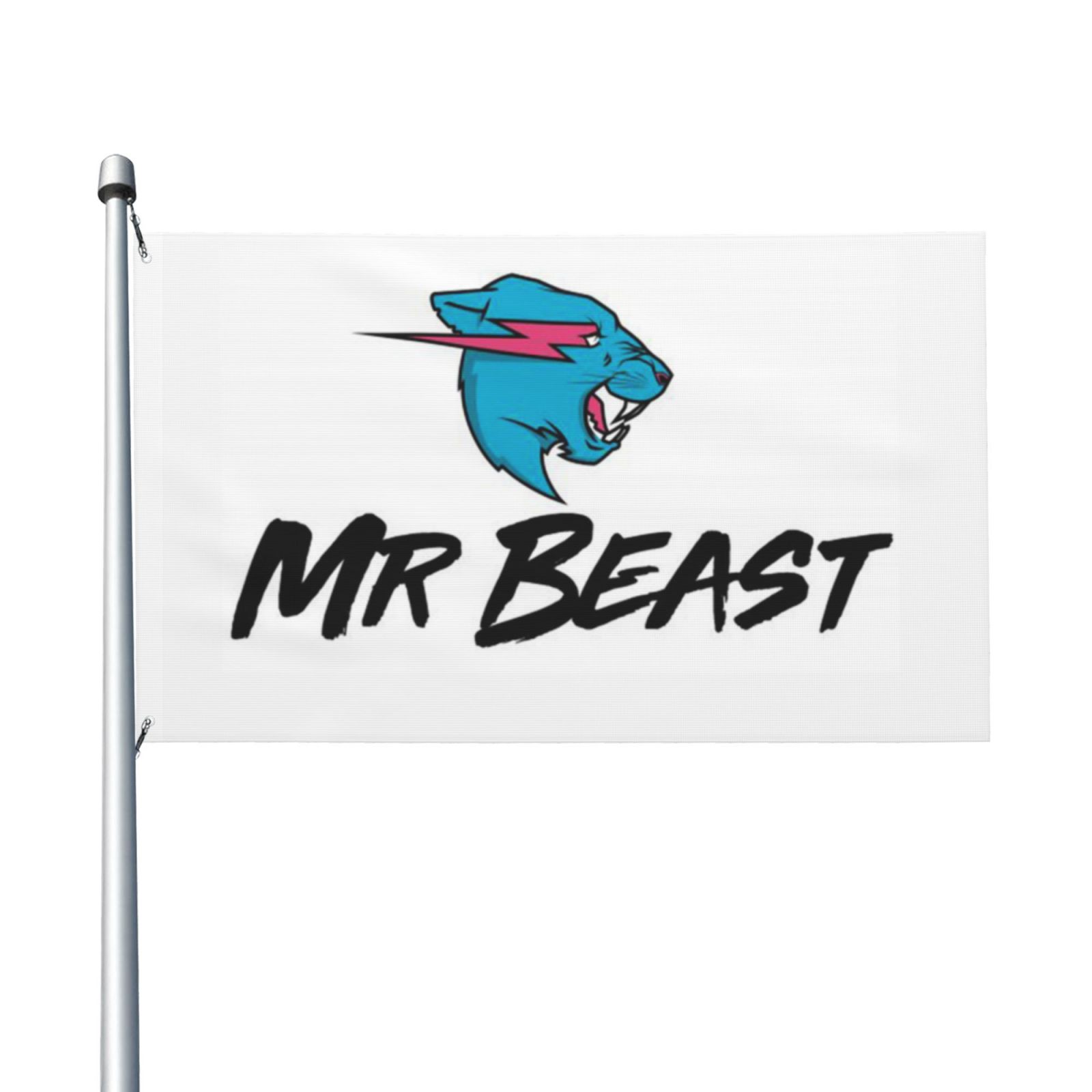 Mr Beast 9856 3x5ft Face Flag Fade Proof Holiday Fall Flag Outdoor ...