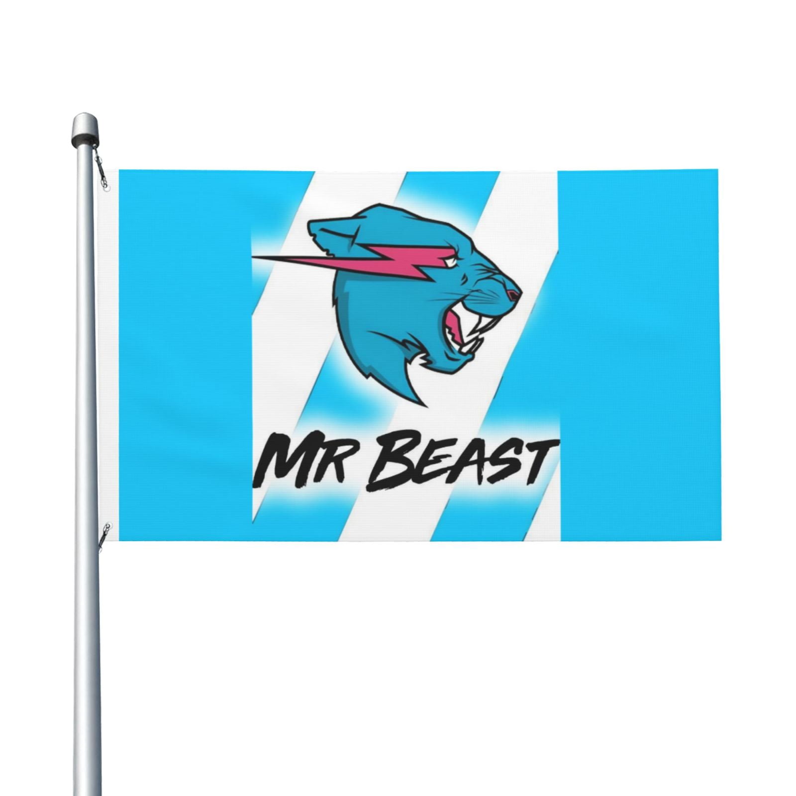 Mr Beast Logo 3x5ft Face Flag Fade Proof Holiday Fall Flag Outdoor ...