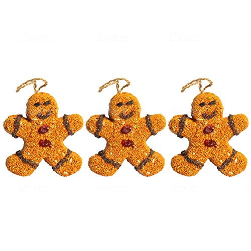 Mr. Bird - Bird Seed Gingerbread Men - 3 Pack - Walmart.com