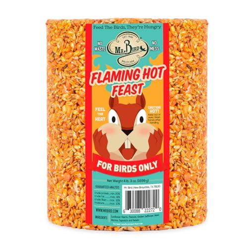 Mr. Bird Flaming Hot Feast Large Wild Bird Seed Cylinder 4 lb. 3 oz ...