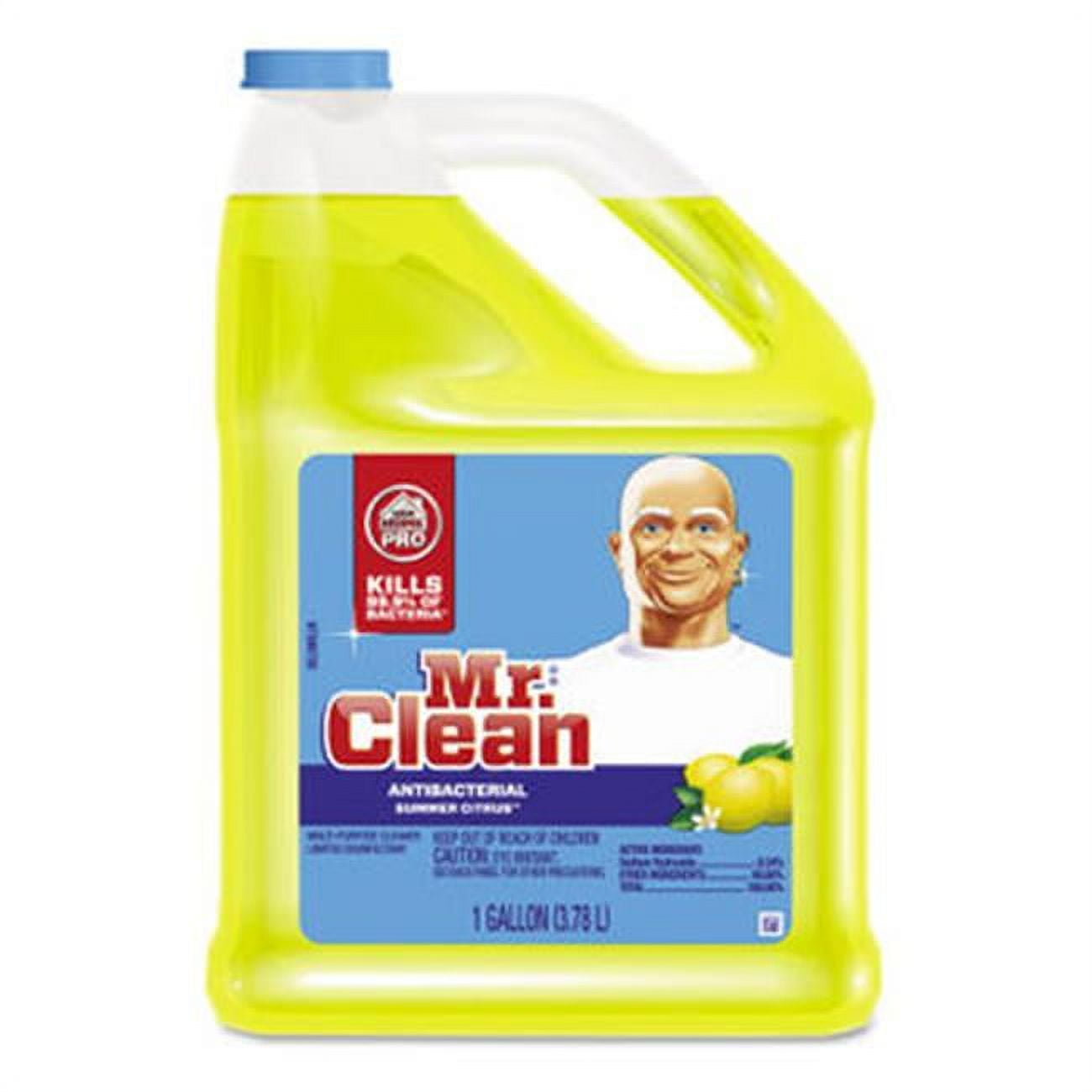 Mr. Clean 1 gal Disinfectant Multipurpose Bathroom Cleaner - Citrus ...