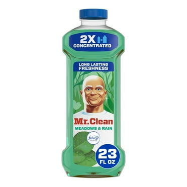 Clean Boss Multi-Surface Disinfectant & Cleaner, 24 oz. Set of 4 ...