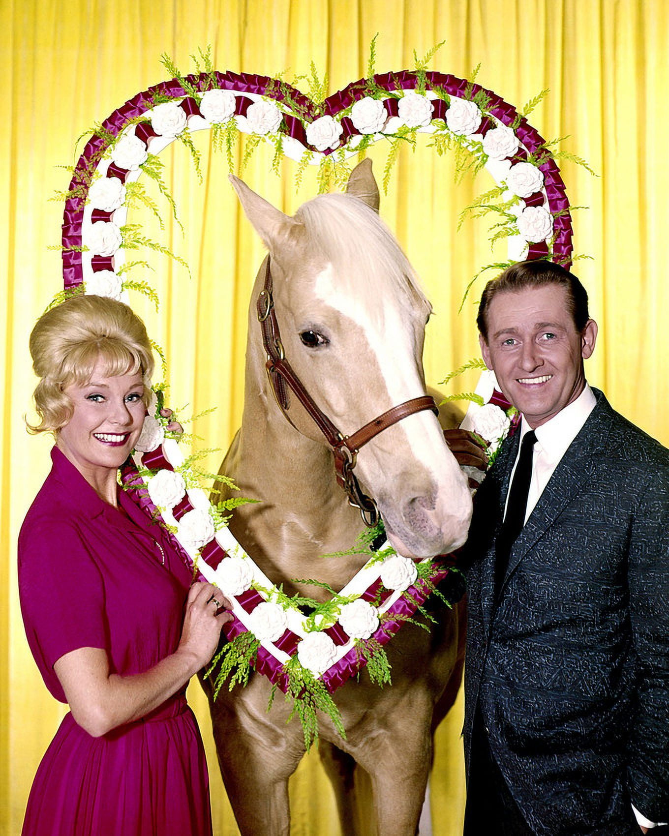 Mr. Ed Alan Young Connie Hines Mr Ed Valentine's 24X36 Classic ...