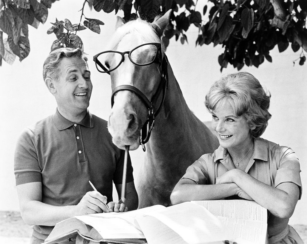 Mr. Ed, From Left, Alan Young, Connie Hines, Going Over The Script With ...