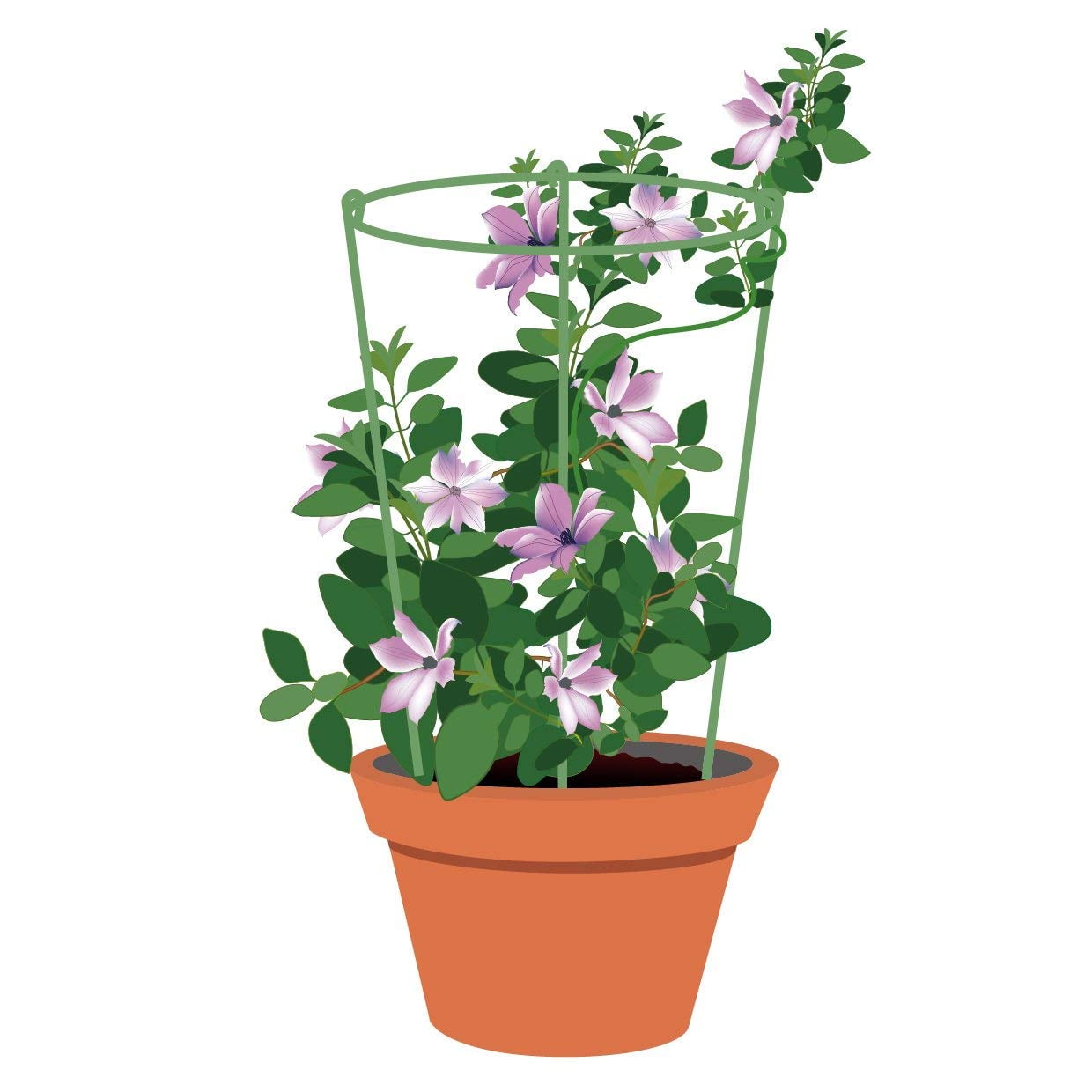 Mr. Garden Mini Trellis Circle 7.87 Inch Dia x 11inch Height x 2mm Dia ...