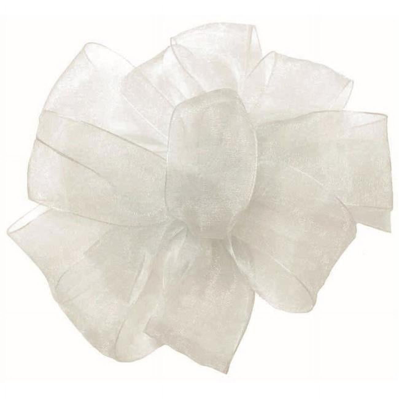 Mr. MJs Trading AI-189986 1.5 in. Antique White Chiffon Ribbon ...
