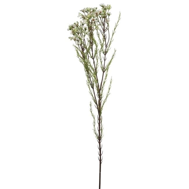 Mr. MJs Trading AI-FL3957CRW White Wax Flower Stem Artificial Flower ...