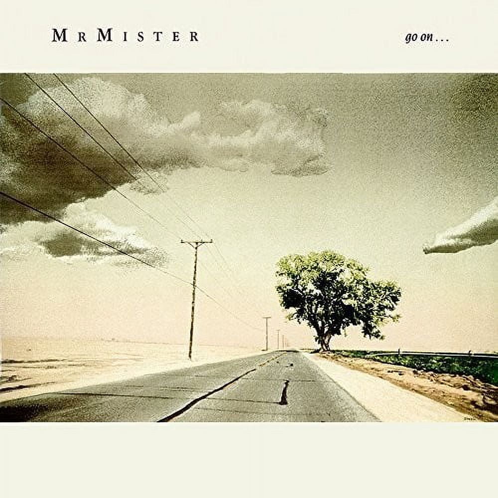 Mr Mister - Go on - Music & Performance - CD - Walmart.com