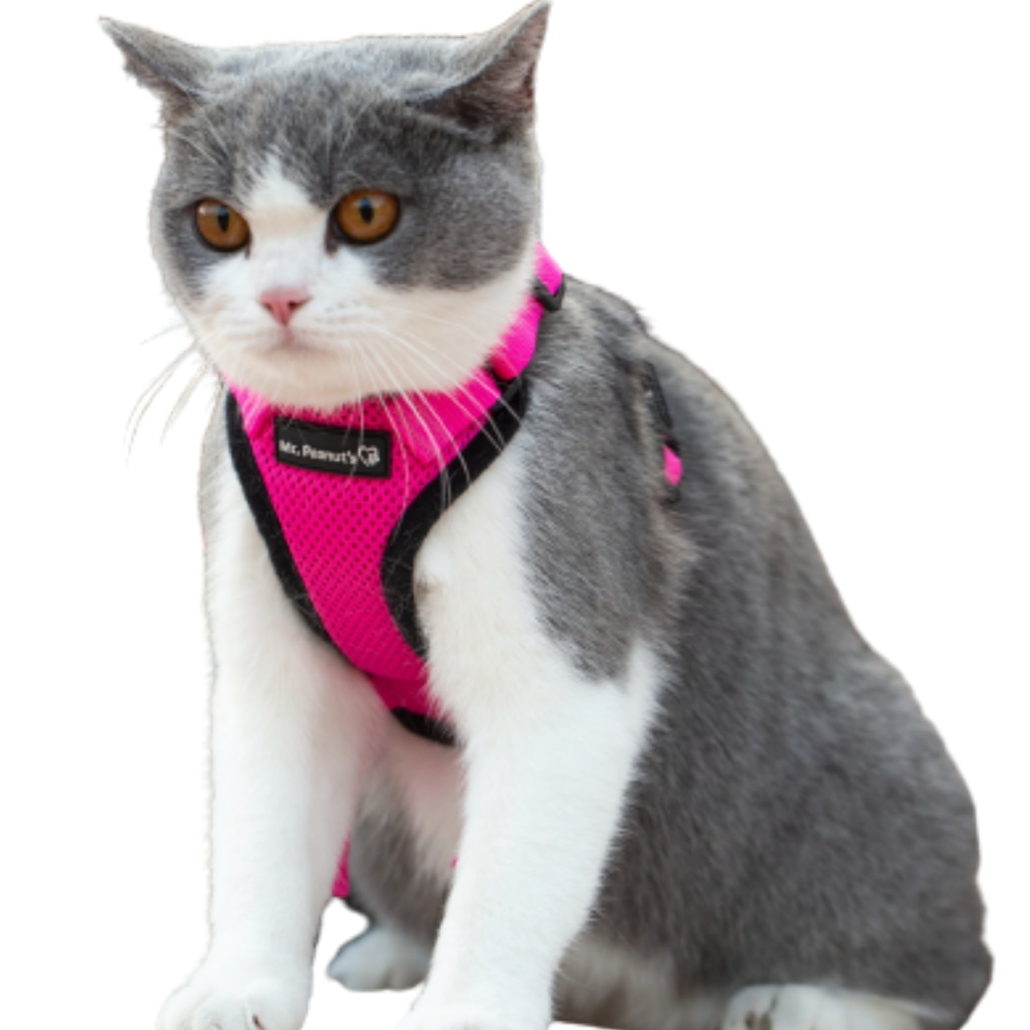 Mr. Peanut's PurrTrek Reflective Cat Harness with Matching Leash ...