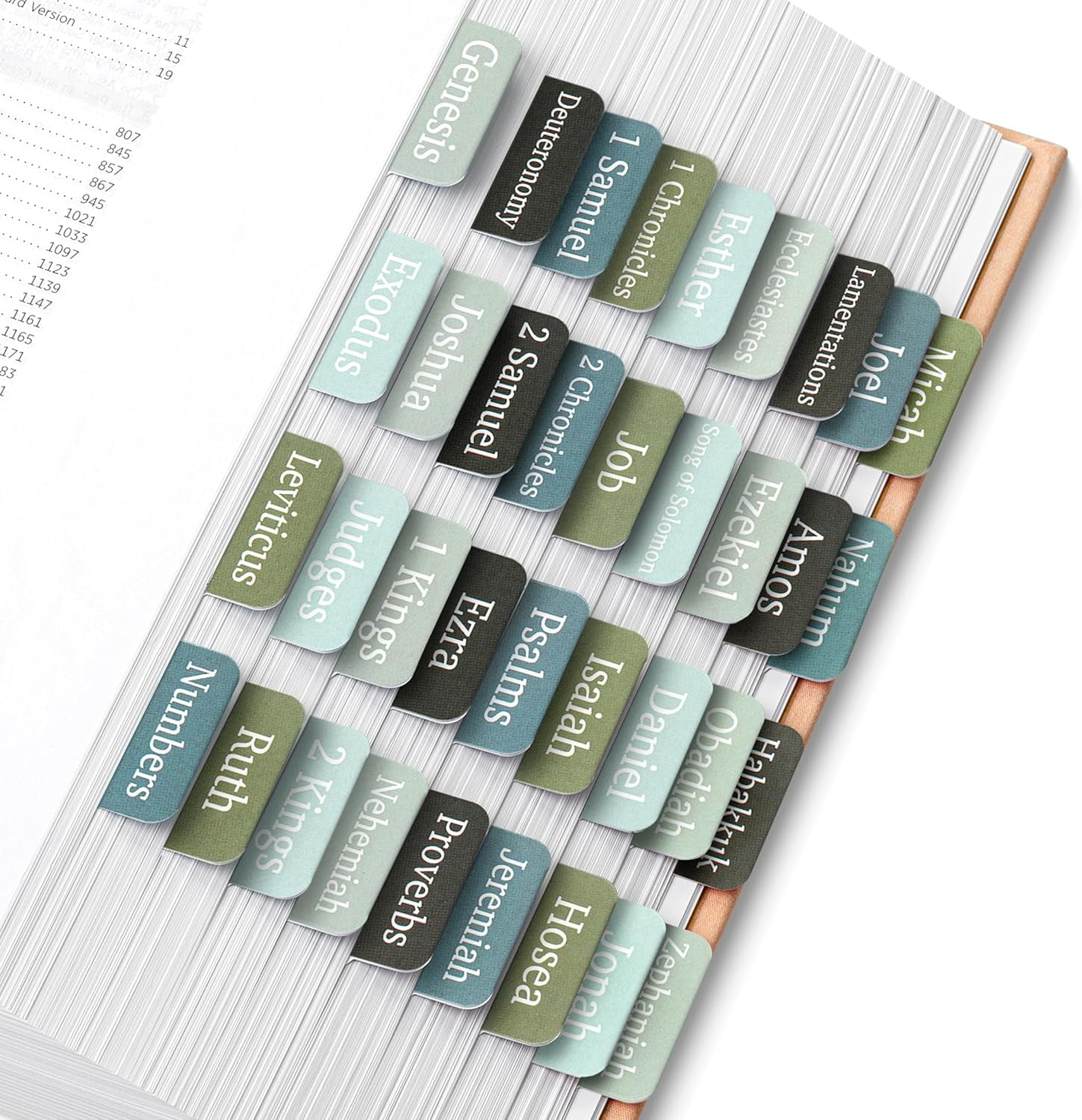 Mr. Pen- Bible Tabs, 75 Tabs, Frozen Lake Theme, Laminated Bible Tabs ...