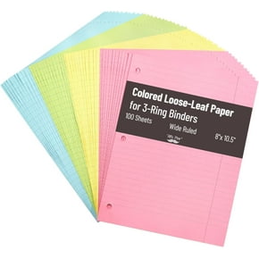 3 Hole Punched Paper