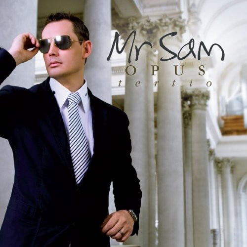 Mr Sam - Mr Sam - Electronica - CD - Walmart.com