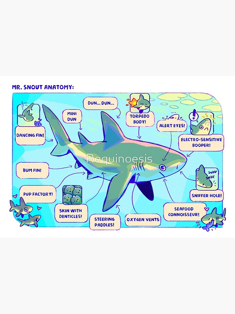 Mr. Snout Anatomy Poster Framed-unframed - Walmart.com