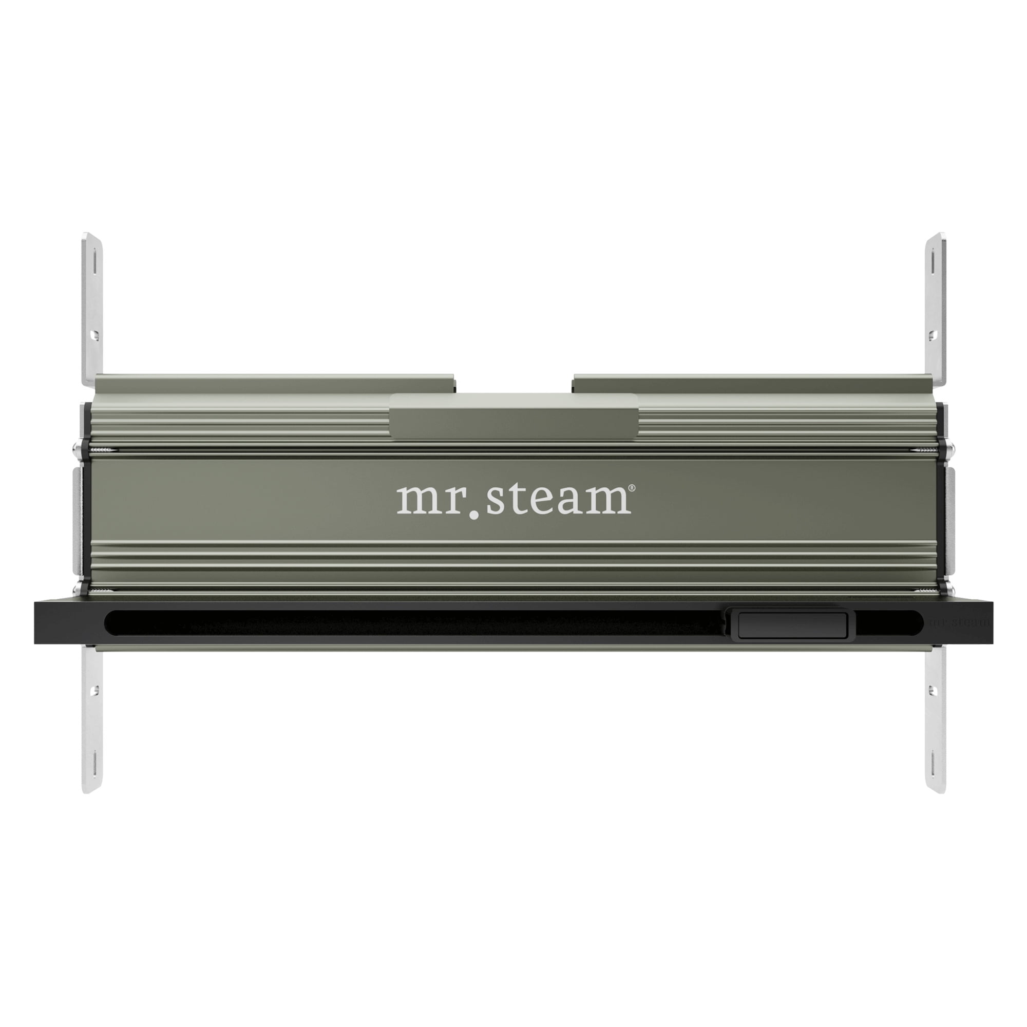Mr Steam Linear 16 in. W. Steamhead with AromaTherapy Reservoir in ...
