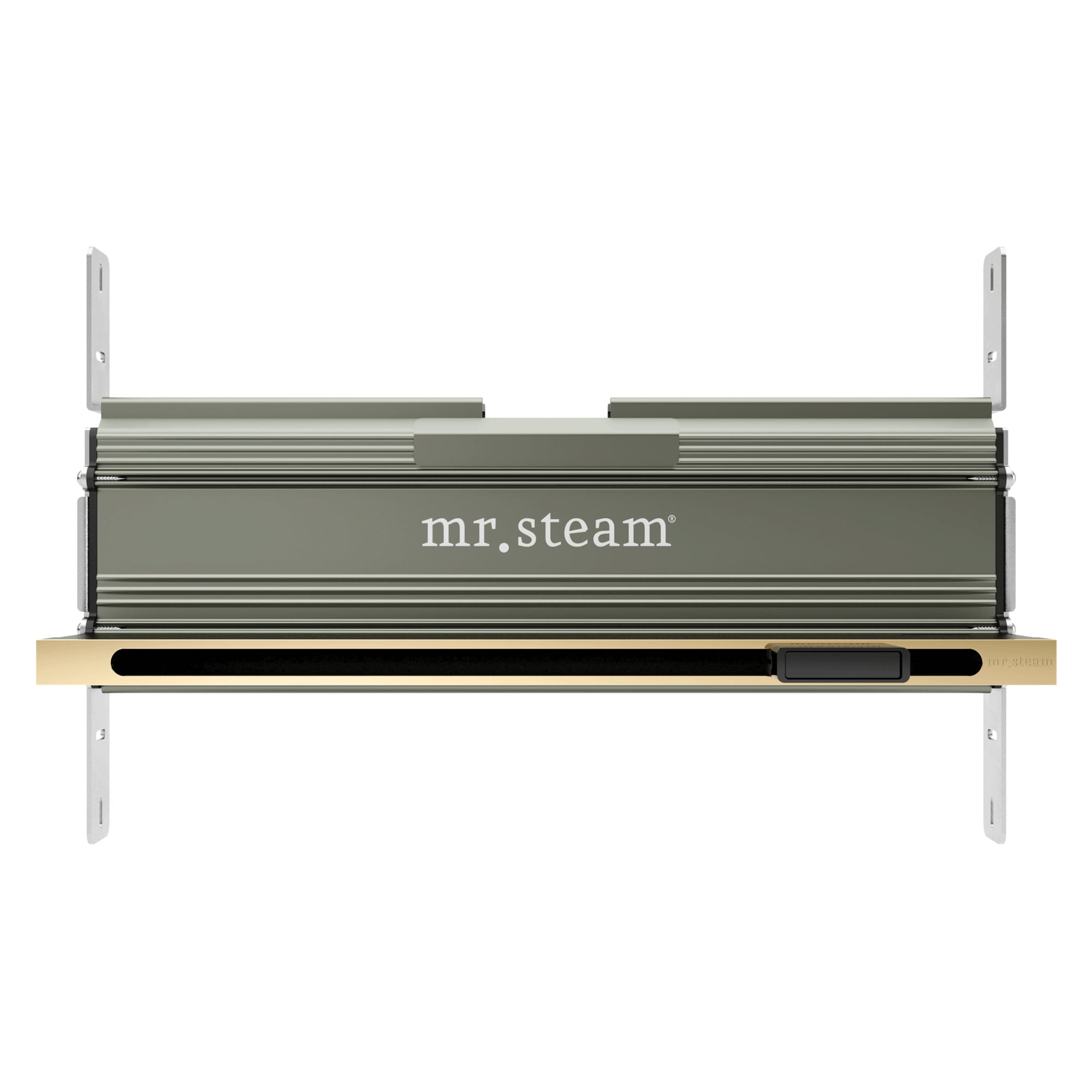 Mr Steam Linear 16 in. W. Steamhead with AromaTherapy Reservoir in ...