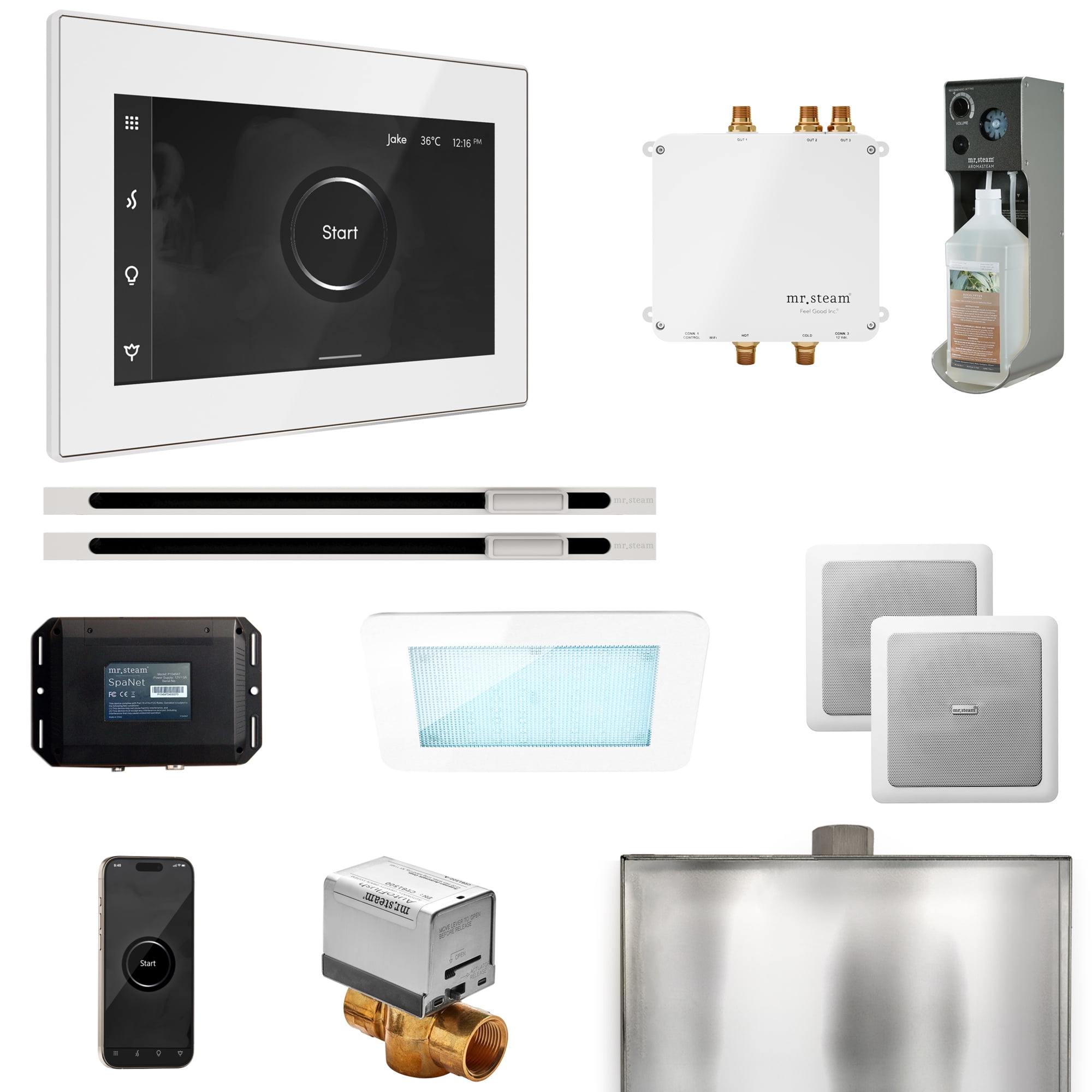 Mr Steam Bliss Max Steam Shower Control Package with iSteamX Control ...