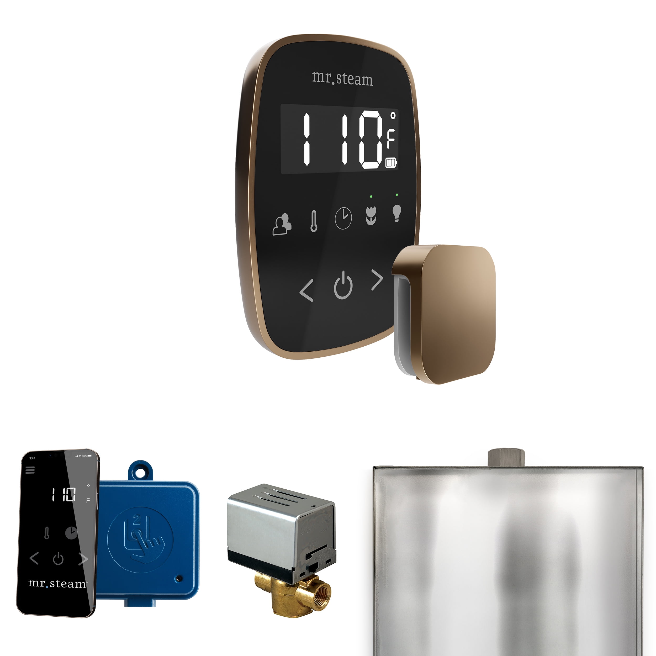 Mr Steam ButlerFlex Steam Shower Ctrl Pkg w/TempoFlex Control and ...