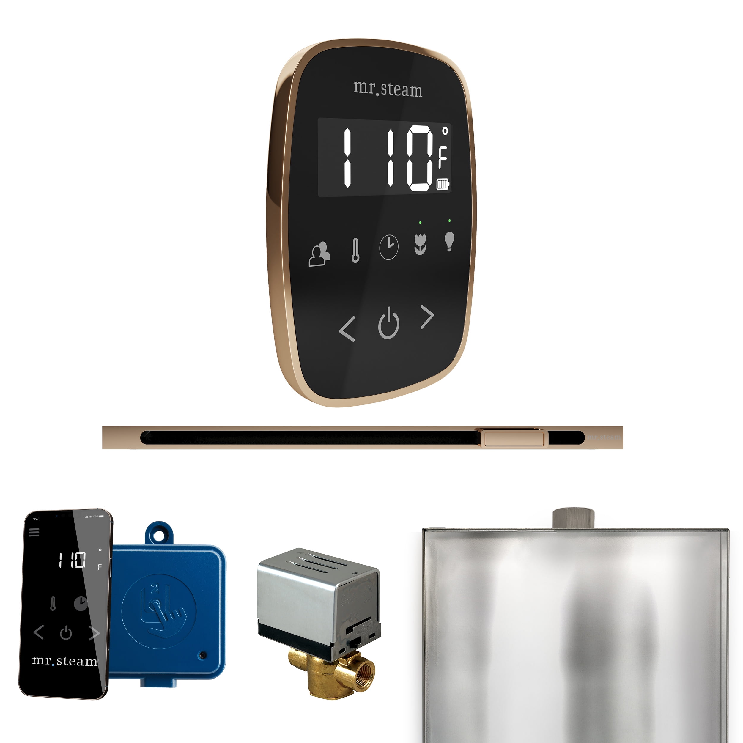 Mr Steam ButlerFlex Steam Shower w/TempoFlex Control and Linear ...