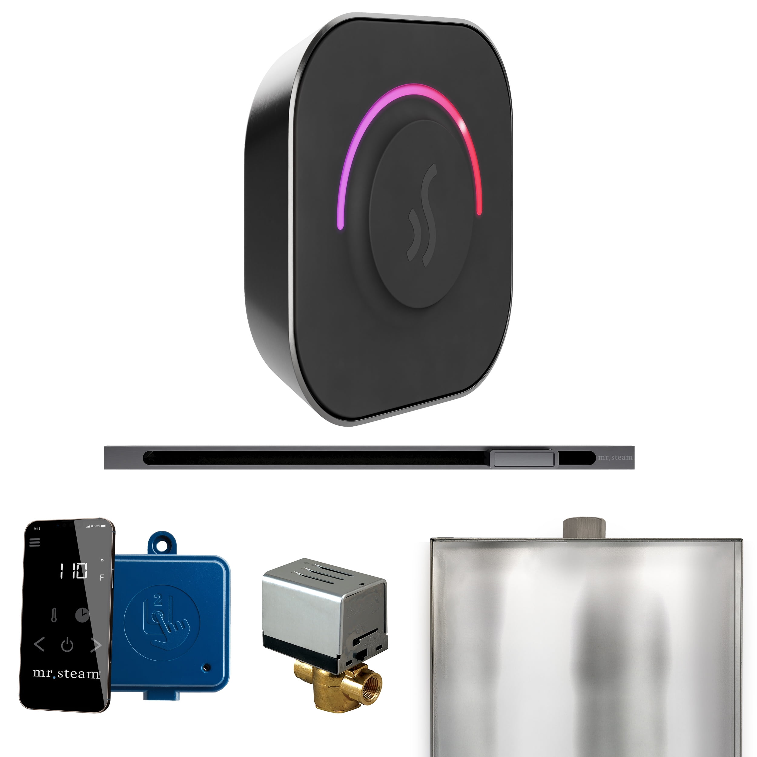 Mr Steam ButlerTouch Steam Shower Ctrl Pkg w/TempoTouch Control and ...