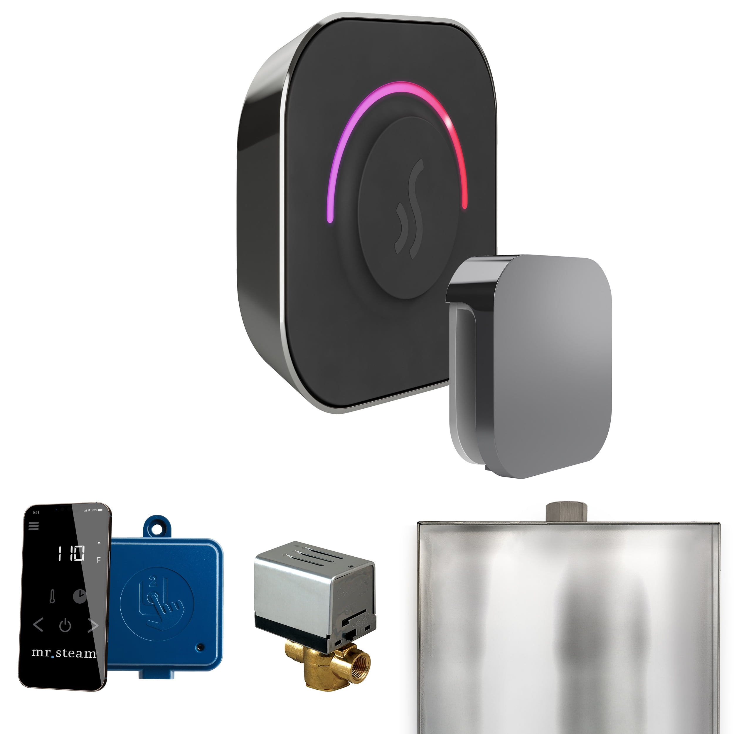 Mr Steam ButlerTouch Steam Shower Ctrl Pkg w/TempoTouch Control and ...