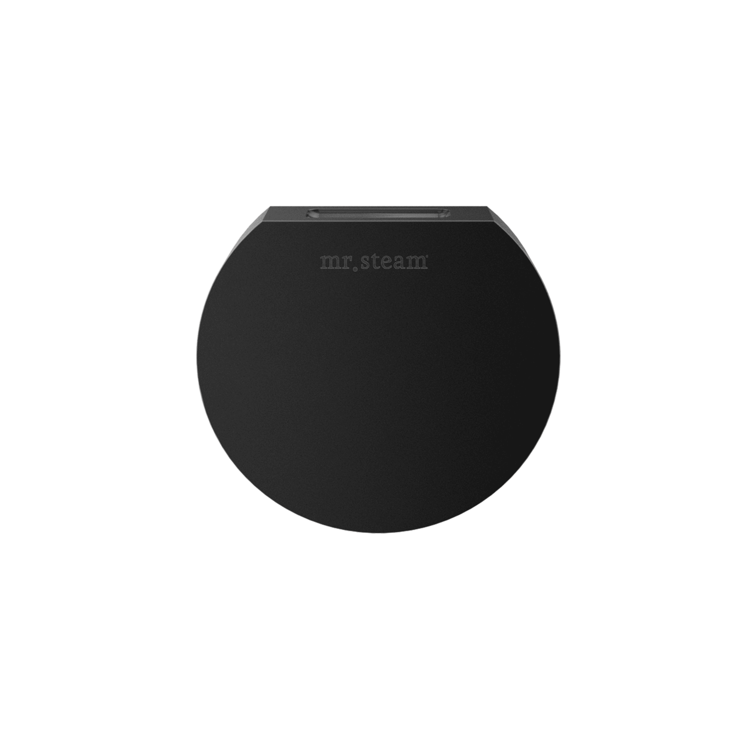 Mr Steam Designer 3 in. Steamhead with AromaTherapy Reservoir in Round ...